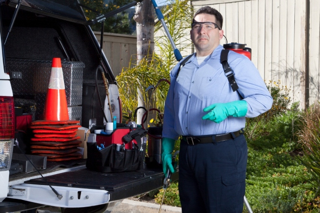 What the Best Pest Control Companies Have in Common | Overwatch Pest ...