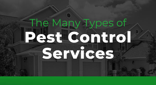 The Many Types of Pest Control Services [infographic] | Overwatch Pest ...